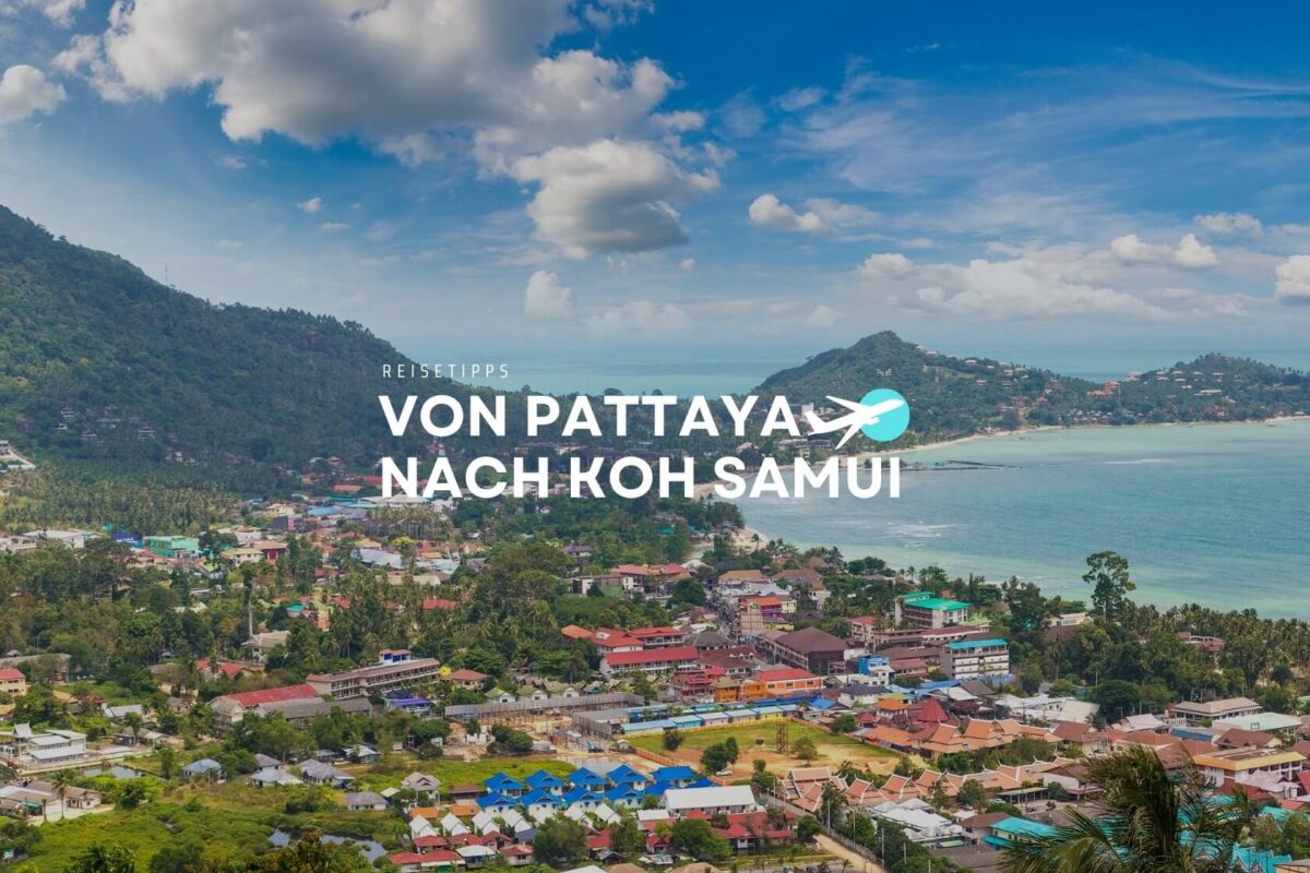 Von Pattaya nach Koh Samui – Alle Infos zur Anreise