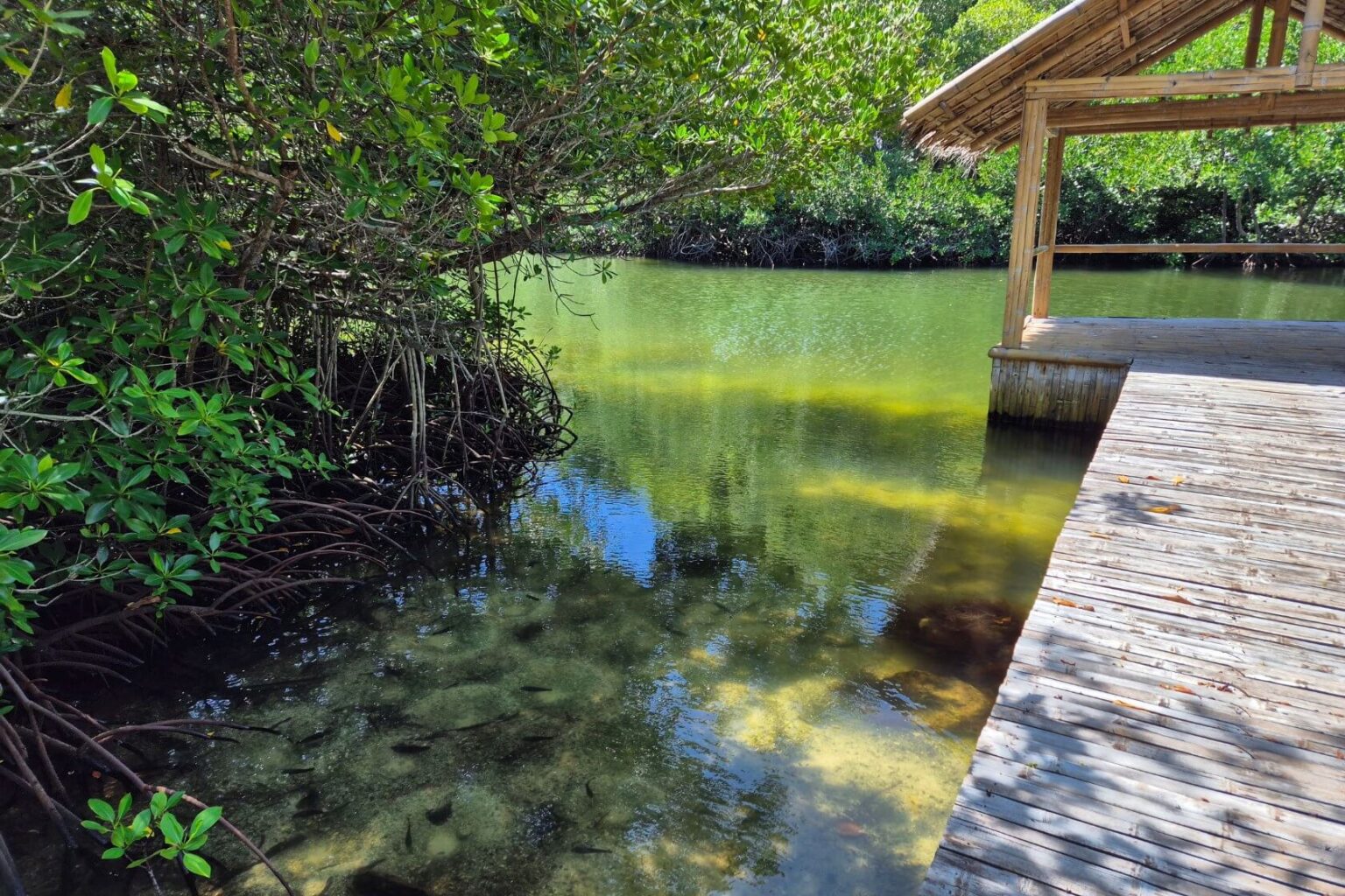 Sumilon Island Resort Lagune & Bird Watching | Flashpacking4Life